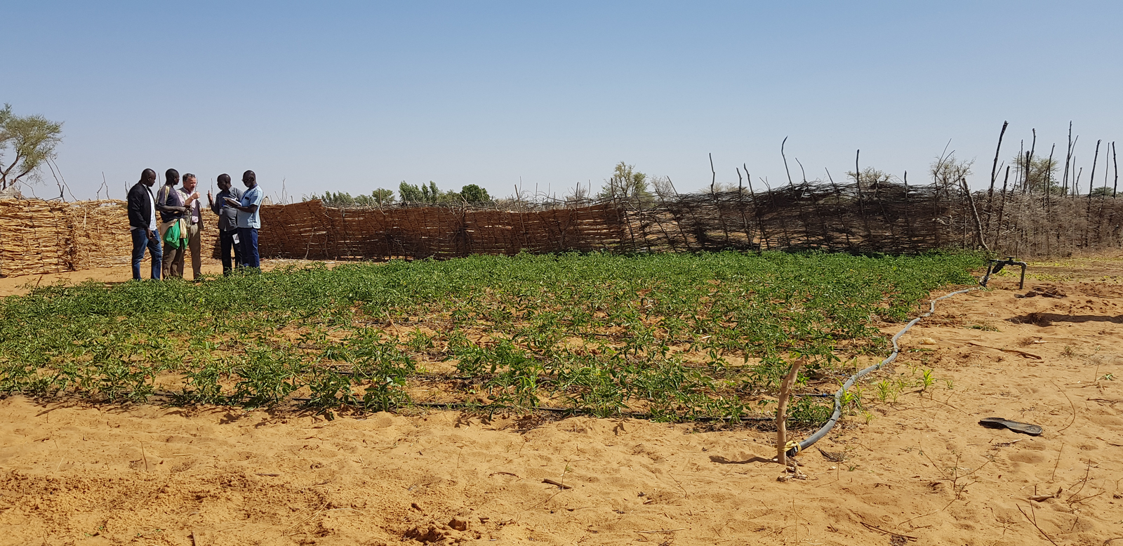 Découvrez pourquoi vous devez adopter l'irrigation de précision ...