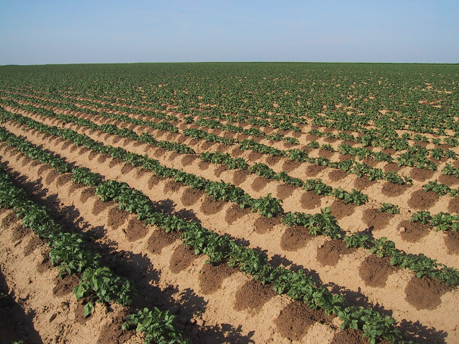 Découvrez pourquoi vous devez adopter l'irrigation de précision ...