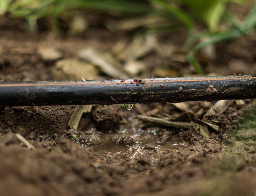 Découvrez pourquoi vous devez adopter l'irrigation de précision ...